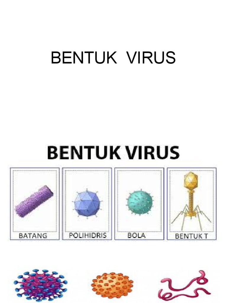 Bentuk Virus | PDF