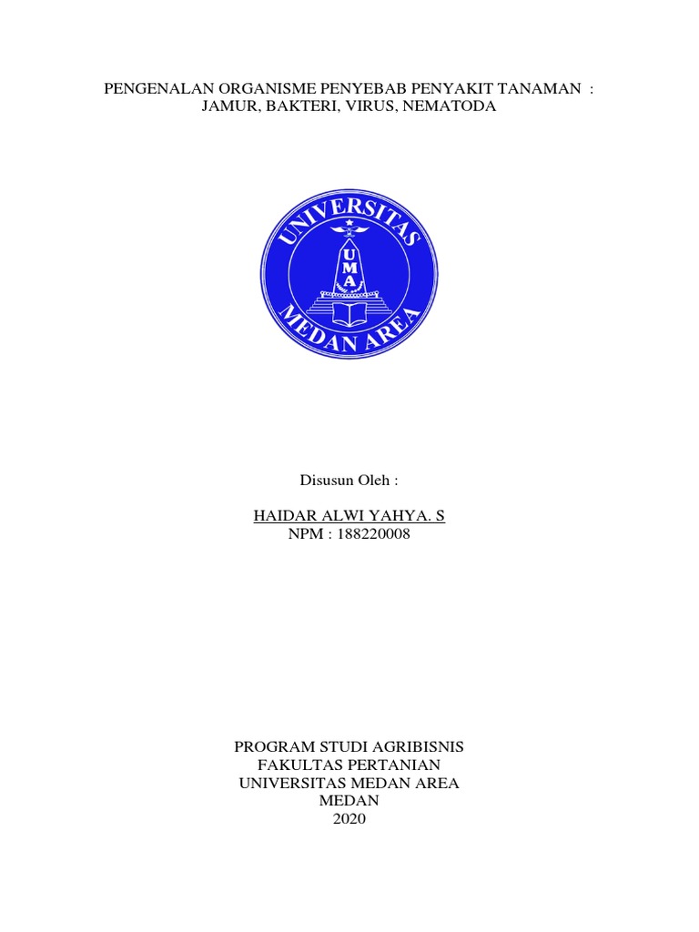 Laporan Praktikum DPT 2 | PDF