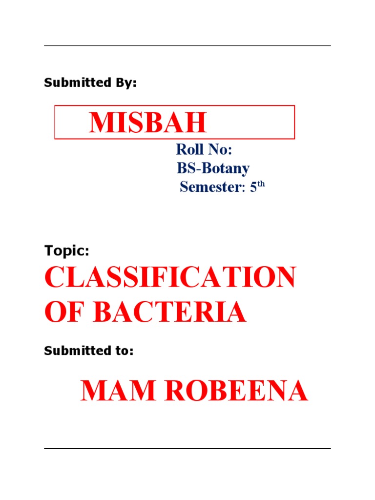 Classification Of Bacteria Pdf Bacteria Prokaryote