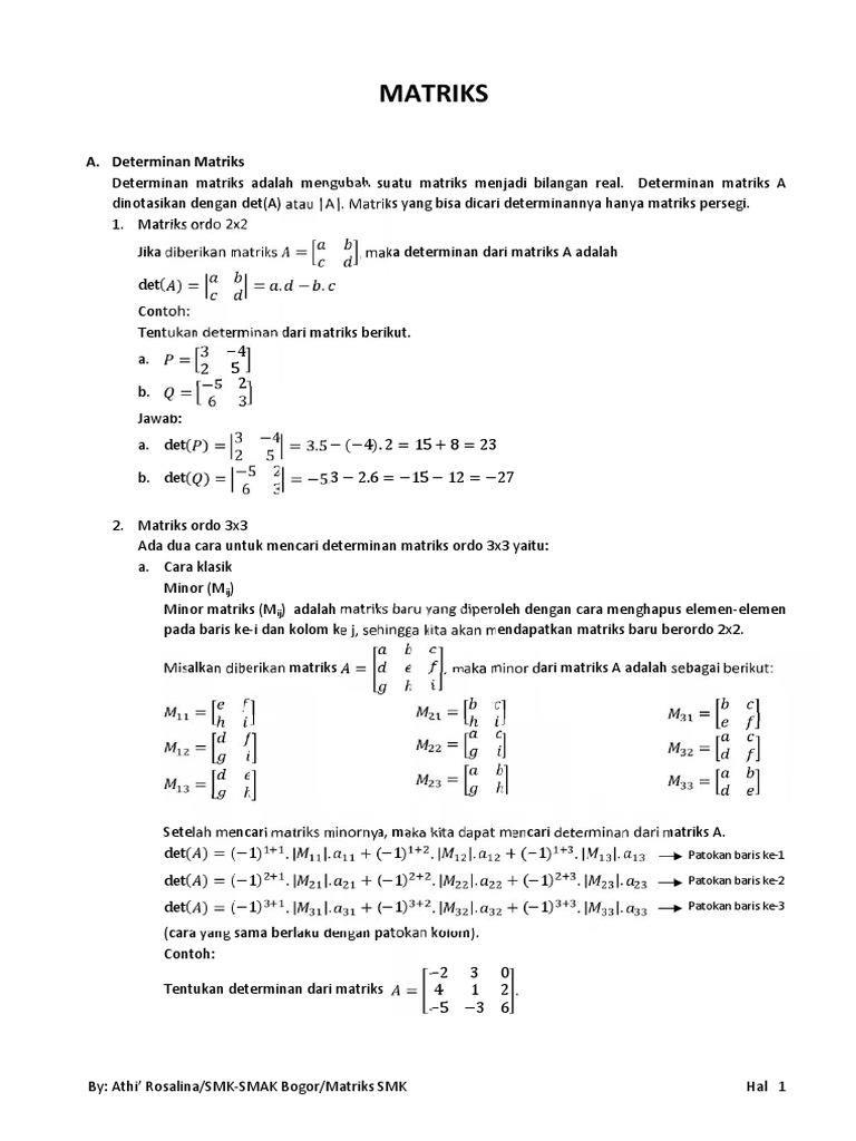 Determinan Dan Invers Matriks | PDF