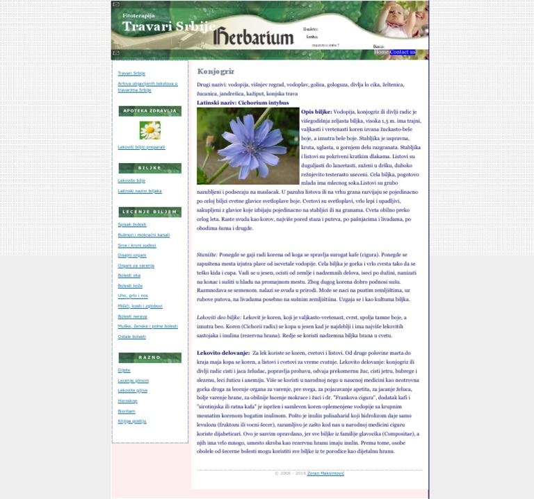 Konjogriz - Biljka - Lekovito Bilje - Trave - TRAVARI SRBIJE | PDF
