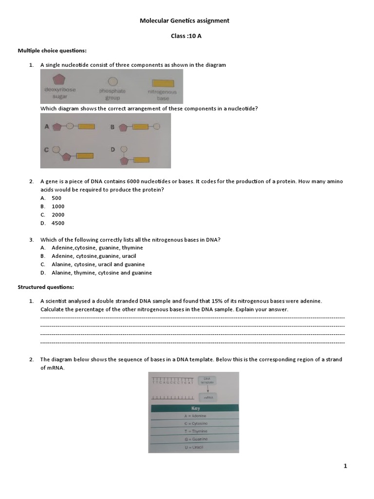 Molecular Genetics MCQs & Questions | PDF | Dna | Molecular Genetics