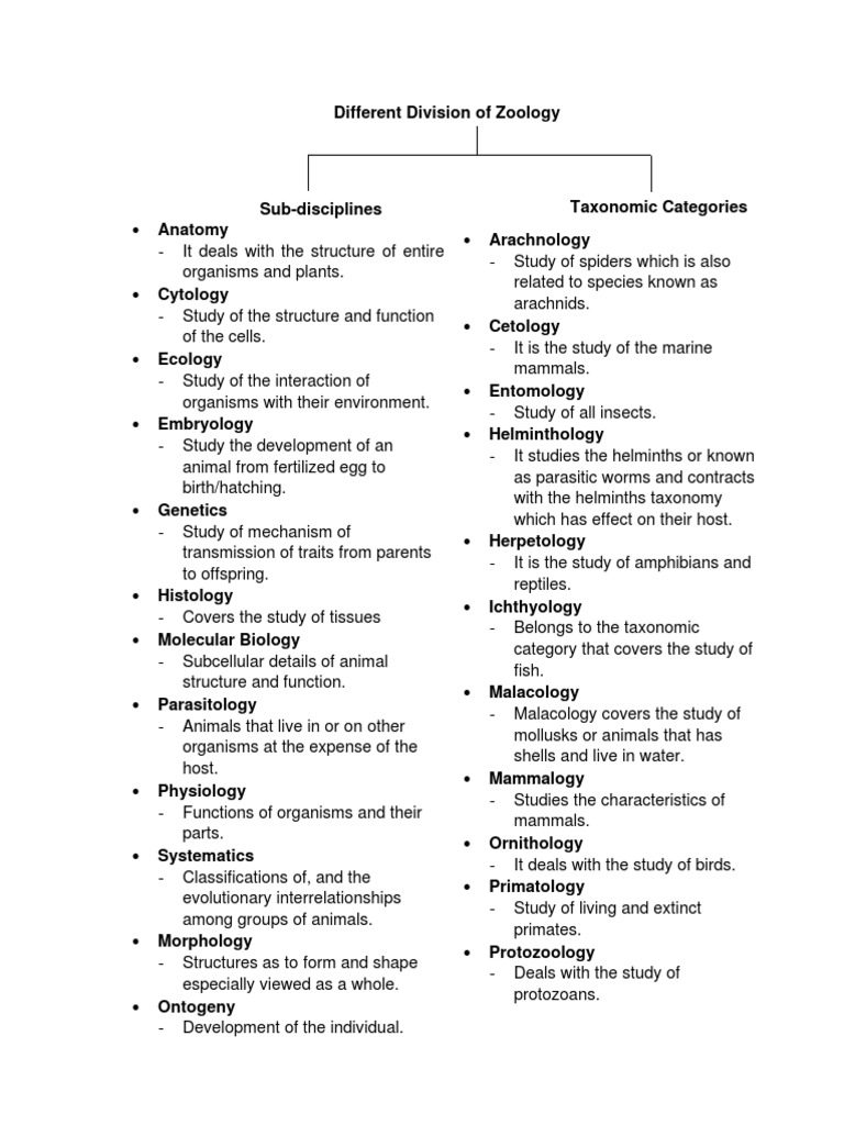 Different Division of Zoology | PDF | Zoology | Taxonomy (Biology)