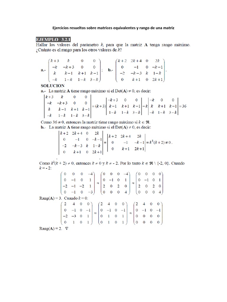 Ejercicios Resueltos Sobre Matrices Equivalentes y Rango de Una Matriz ...