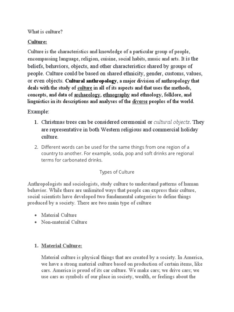 What Is Culture | PDF | Material Culture | Anthropology