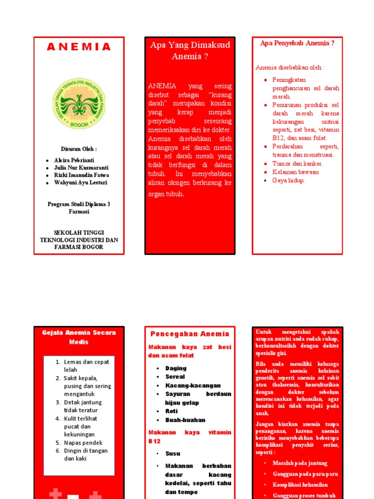 Brosur Anemia | PDF