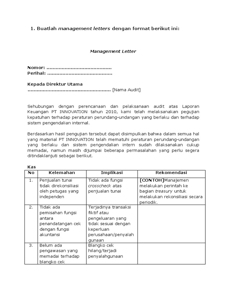 Management Letters Dan LHA | PDF