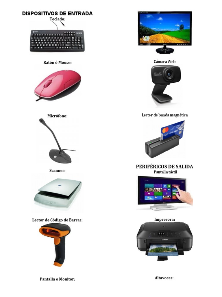 8 Perifericos de Entrada, Salida y Almacenamiento Solo Imagenes | PDF