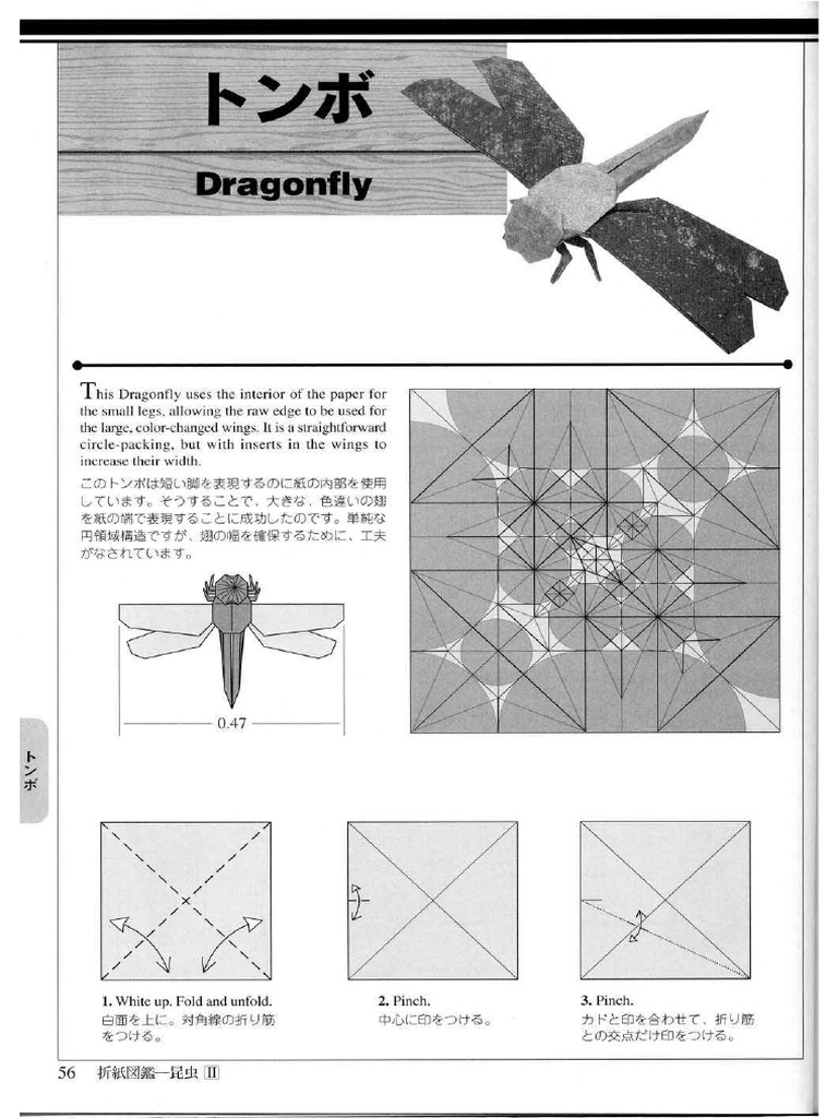 Dragonfly 1 | PDF