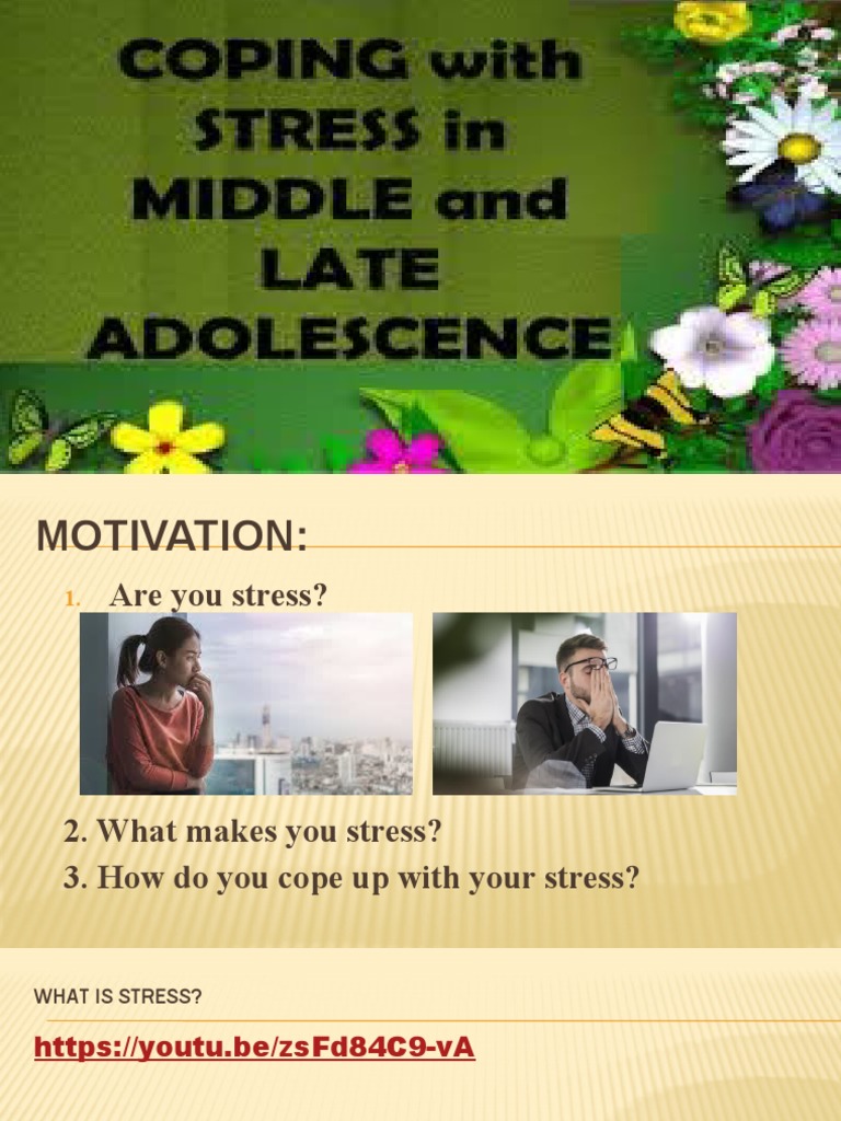 Perdev PPT Stress | PDF
