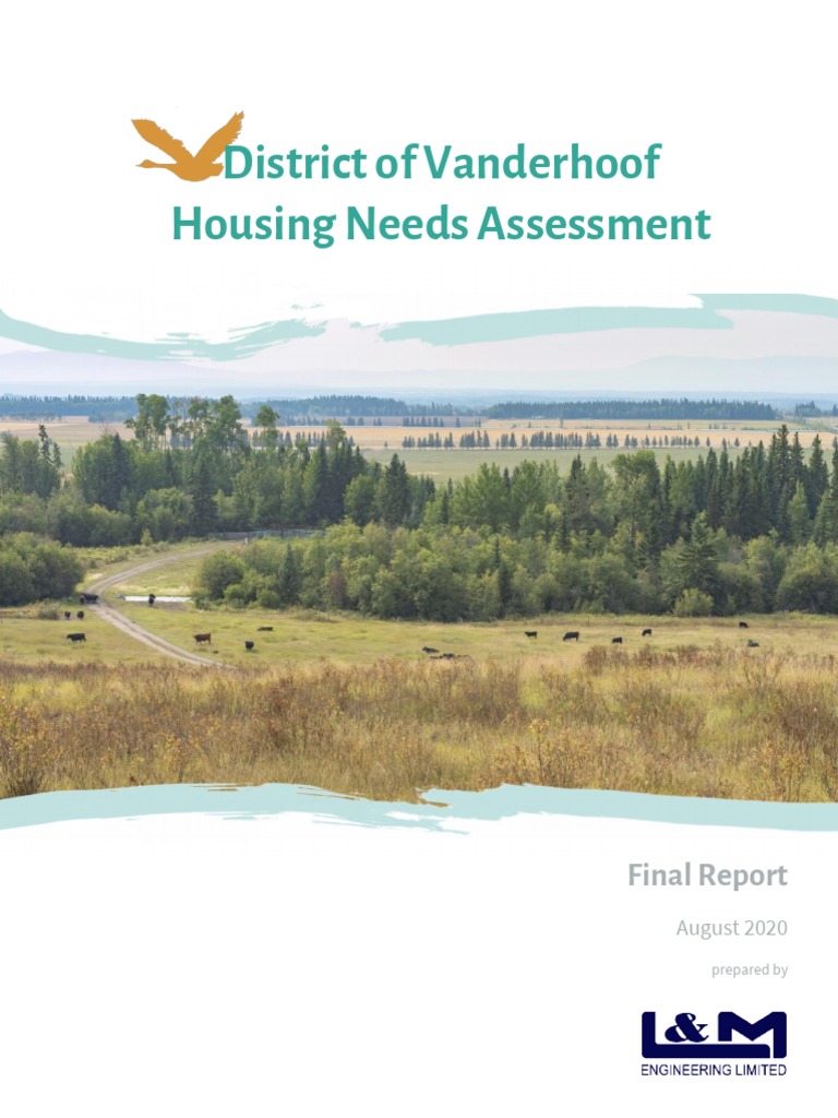 2020 Housing Needs Assessment Final | PDF | Affordable Housing | Census