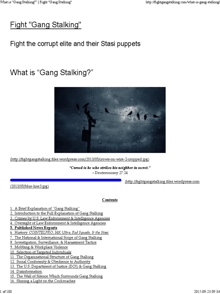 What Is "Gang Stalking-" - Fight - Gang Stalking | PDF | Stalking ...