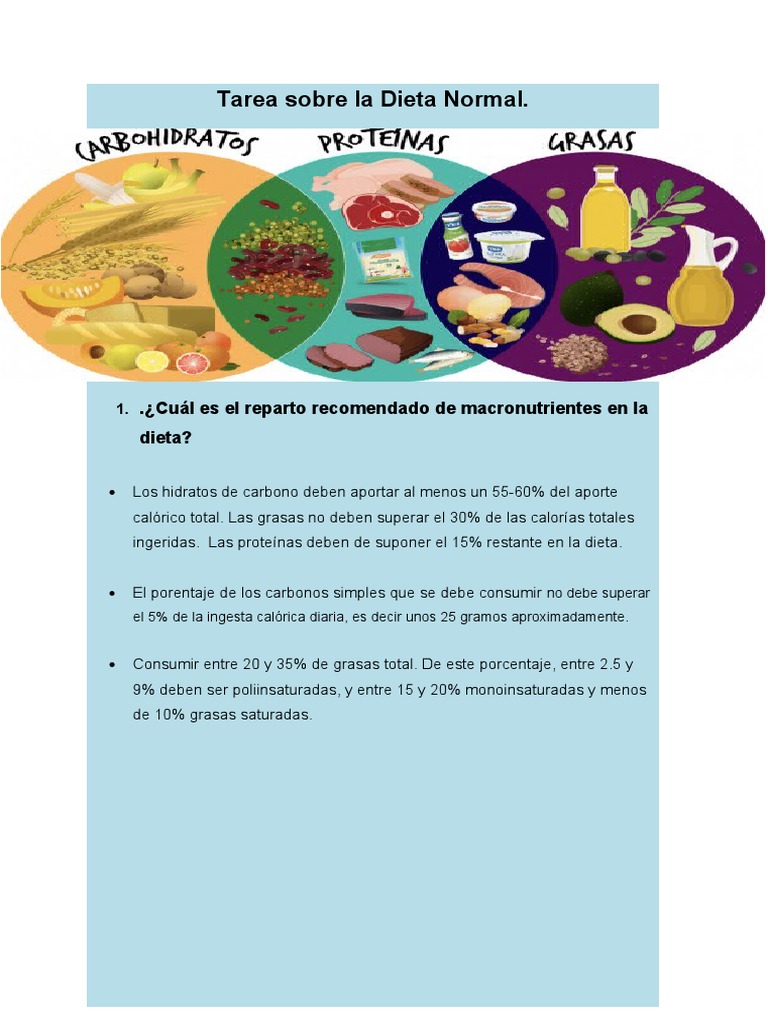 Dieta Normal | PDF