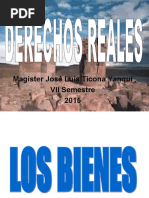 Mapa Conceptual Bienes y Sucesiones | PDF | Propiedad | Justicia