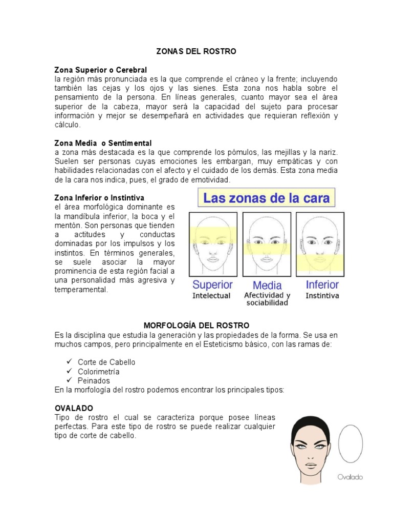 Zonas Del Rostro | PDF | Cara | Piel