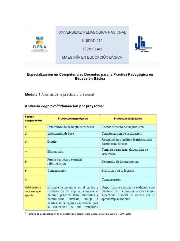 Andamio Cognitivo - Planeación Por Proyectos | PDF | Educación primaria | Evaluación