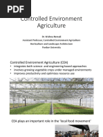 Spray Programme For Broccoli, Cabbage, Kales and Cauliflower | PDF ...
