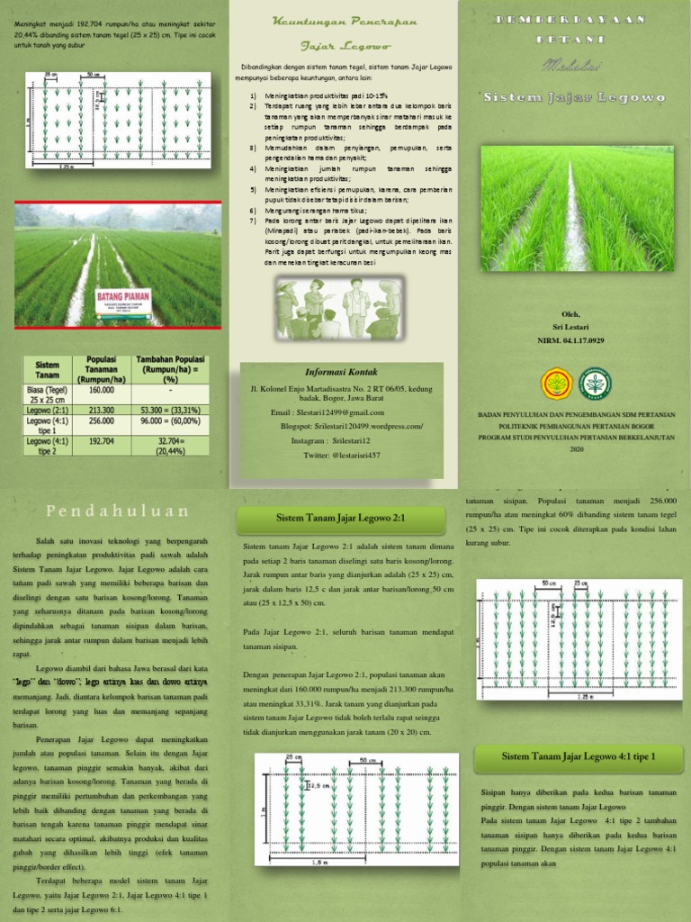 Leaflet Sistem Jajar Legowo | PDF