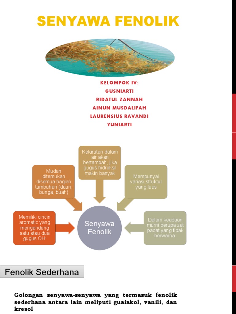 Senyawa Fenolik 2-1 | PDF