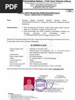 Tutorial Optimis | PDF