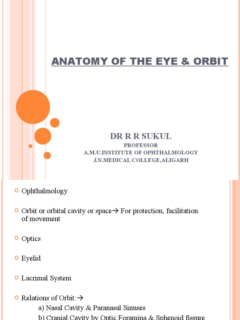 Anatomy of The Eye & Orbit | PDF | Skeletal System | Anatomy