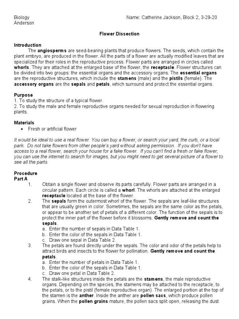 Flower Dissection LAB | PDF | Petal | Flowers