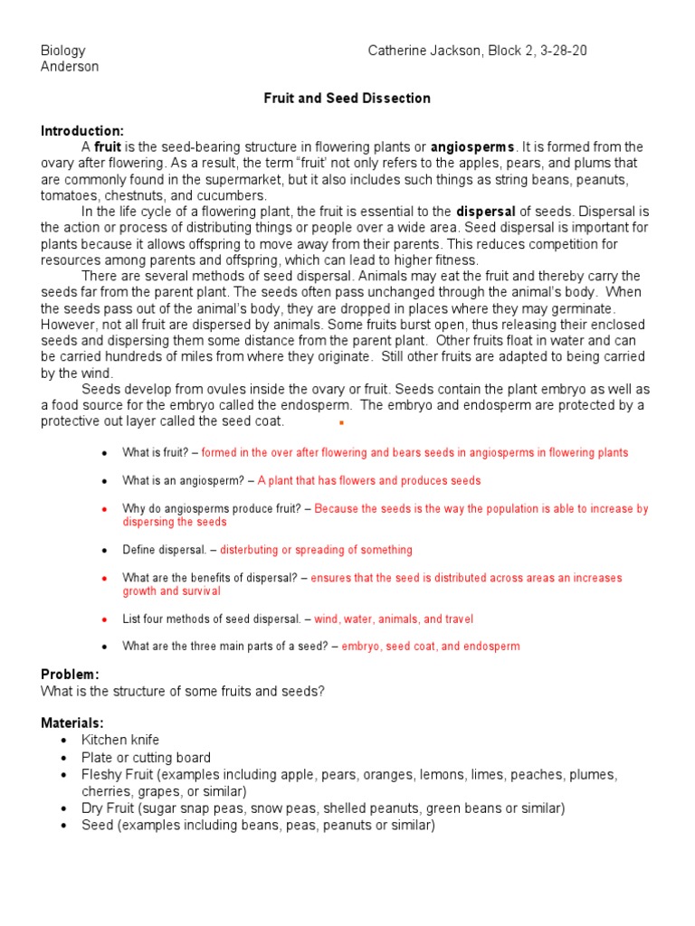 Fruit and Seed Dissection Lab Guide | PDF