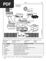 Extra Questions, CELL, CLASS-9 | PDF | Cell (Biology) | Endoplasmic ...