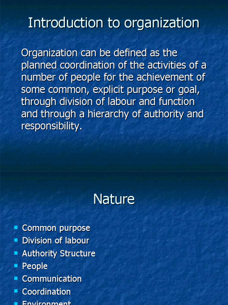 Introduction to Organization Structure | PDF | Organizational Structure ...