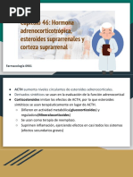 CORTEROID (gotas) | PDF | Glucocorticoides | Corticosteroides