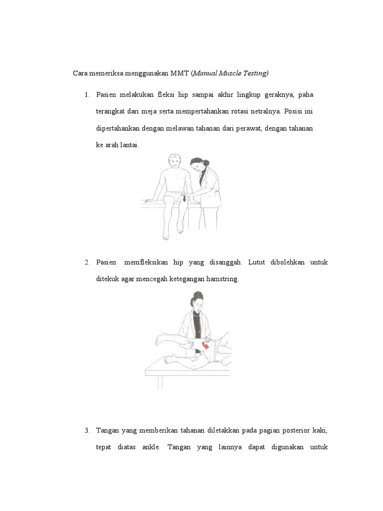 Cara Memeriksa Menggunakan MMT | PDF