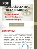 GPC #06 - CONJUNTIVITIS AGUDA - Feb 2022 | PDF | Alergia | Enfermedades ...