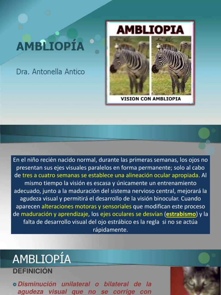 AMBLIOPÍA | PDF | Ojo humano | Sistema visual