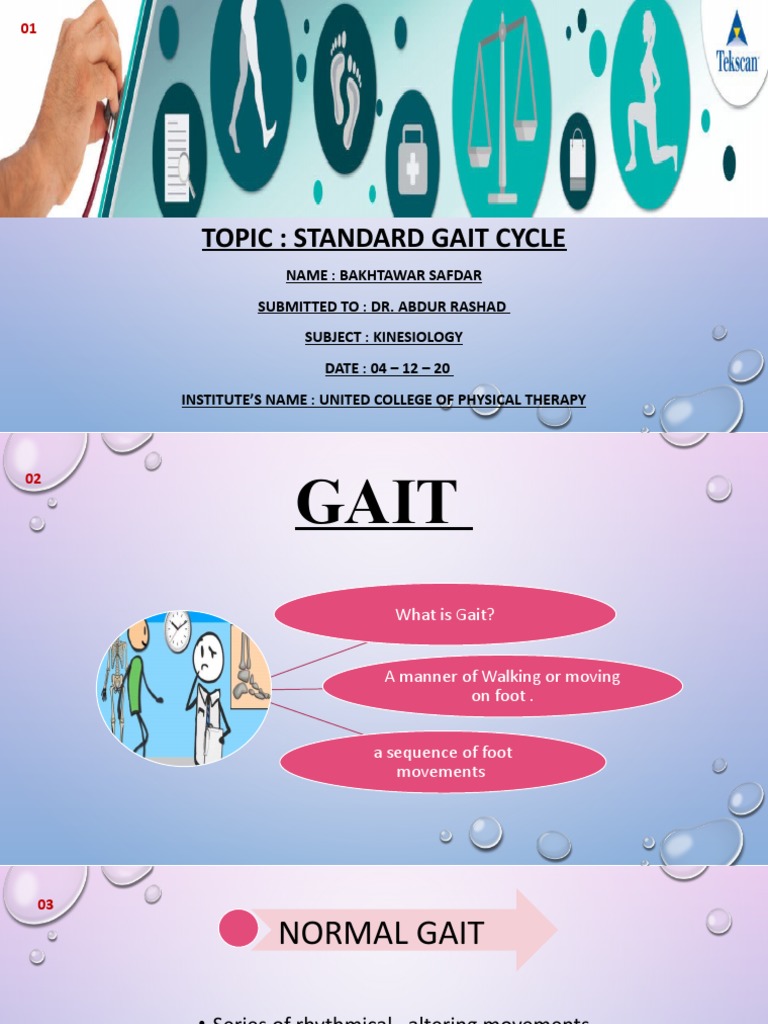 Topic: Standard Gait Cycle | PDF | Animal Locomotion | Foot