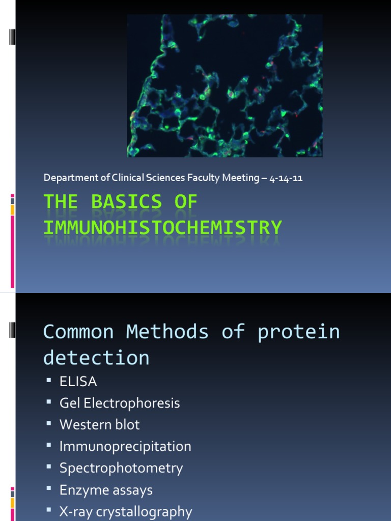 Immunohistochemistry | PDF | Immunohistochemistry | Fixation (Histology)