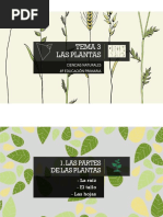 Guía caracteristicas y necesidades de las plantas 3° basico | PDF ...