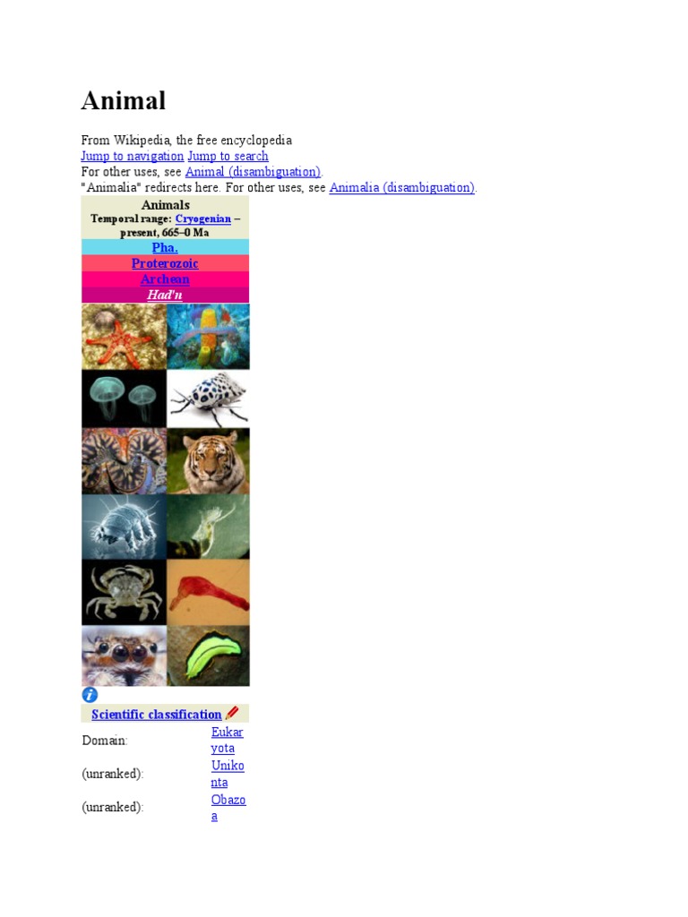 Animal: From Wikipedia, The Free Encyclopedia For Other Uses, See ...
