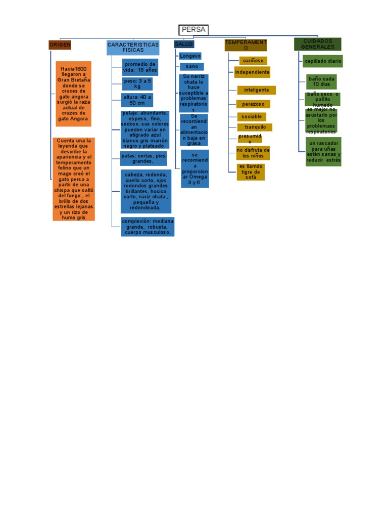 Mapa Conceptual Persa | PDF | Tipos de perros | Razas de perros
