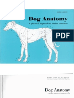Comparative Anatomy of Dogs and Cats | PDF | Vertebra | Thorax