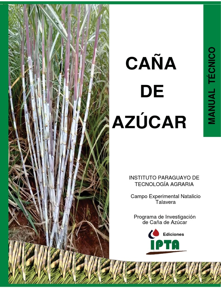 Manual Técnico de Caña de Azúcar en Paraguay | PDF | Arado | Suelo