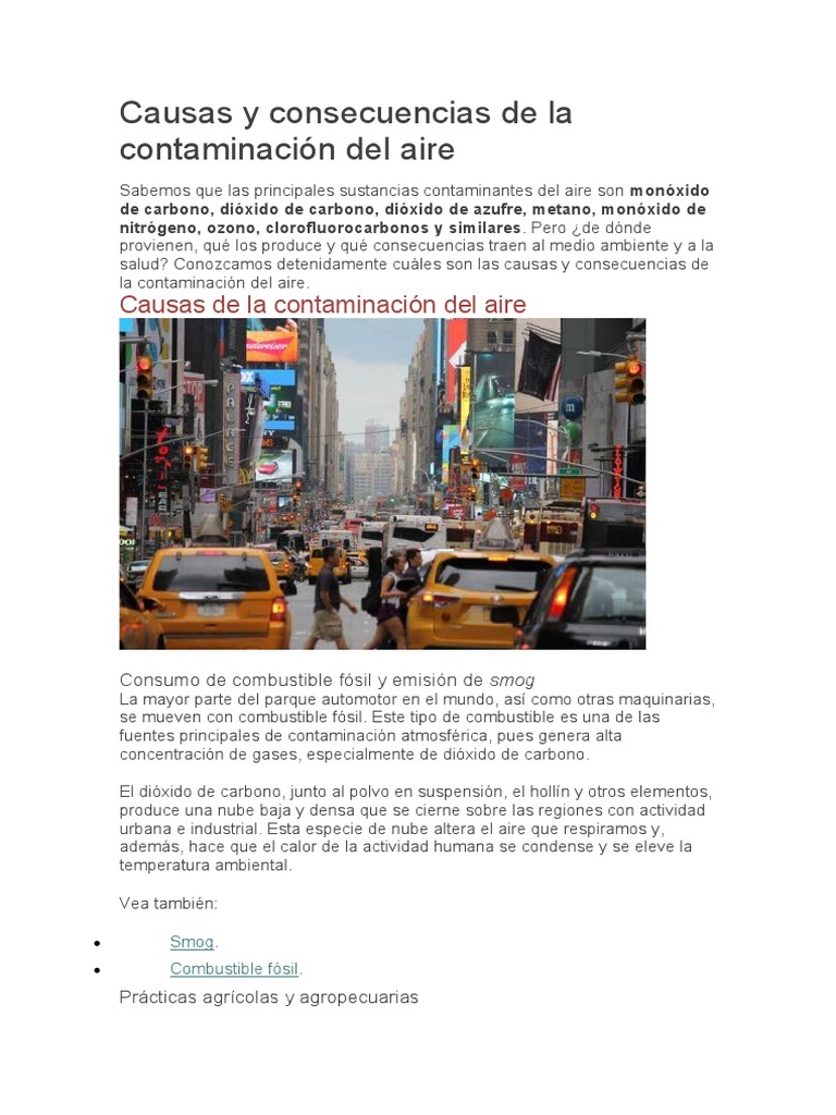 Causas y consecuencias de la contaminación del aire | PDF | Compuesto ...