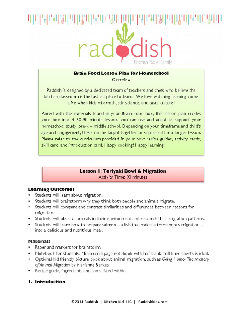Brain Food Lesson Plan | PDF | Memory | Lesson Plan