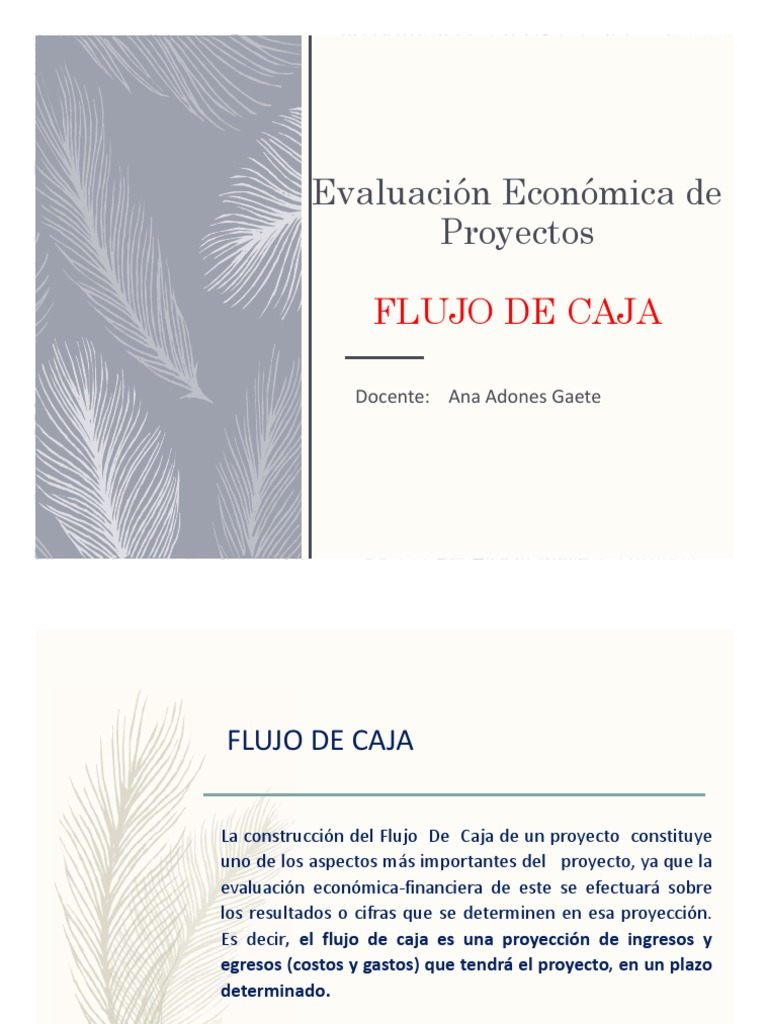 Flujo de Caja | PDF | Depreciación | Amortización (Negocio)
