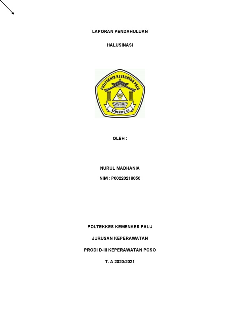 Laporan Pendahuluan Halu, HDR, Isos, DPD, PK-1 | PDF