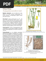 Propiedades Medicinales de La Wira Wira | PDF | Plantas medicinales | Flavonoide