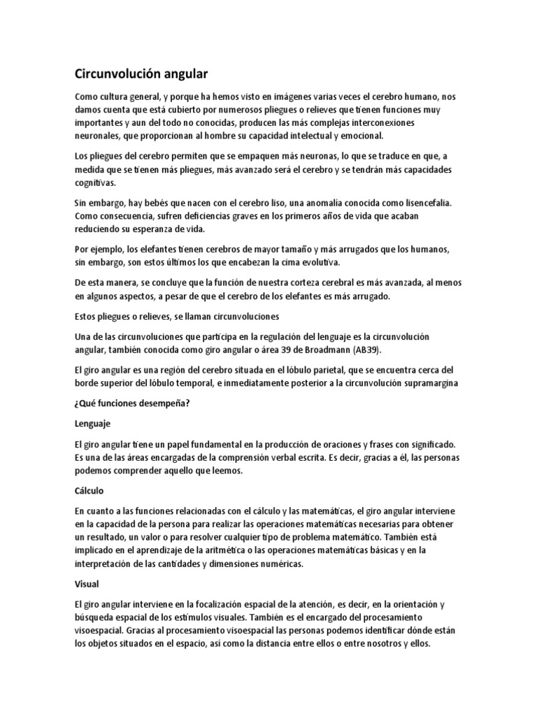Circunvolución Angular | PDF | Nervio | Cerebro
