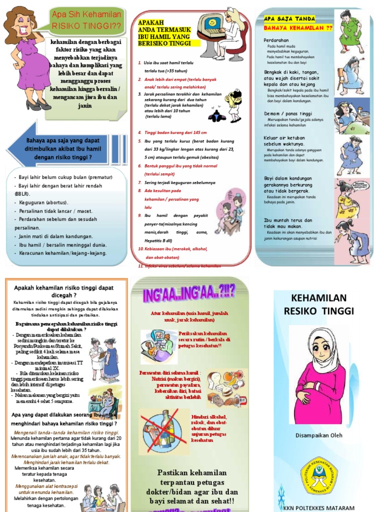 Ibu Hamil Dan Bayi Resti Integrasi Puskesmas