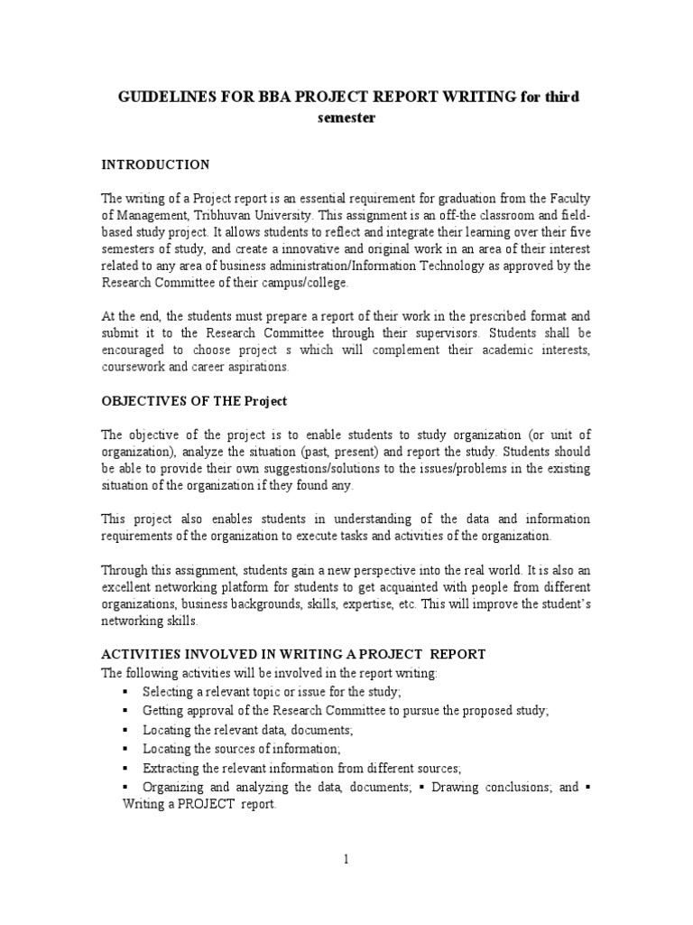 Project Report Writing | PDF | Data | Marketing Strategy