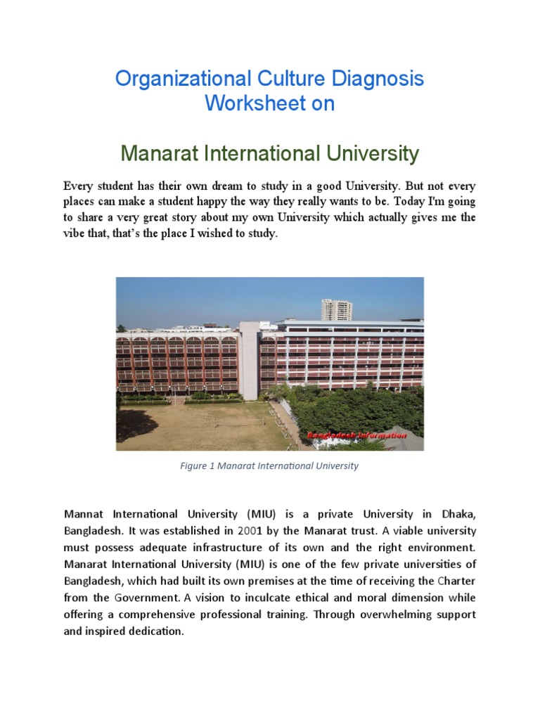 Organizational Culture Diagnosis Worksheet On | PDF