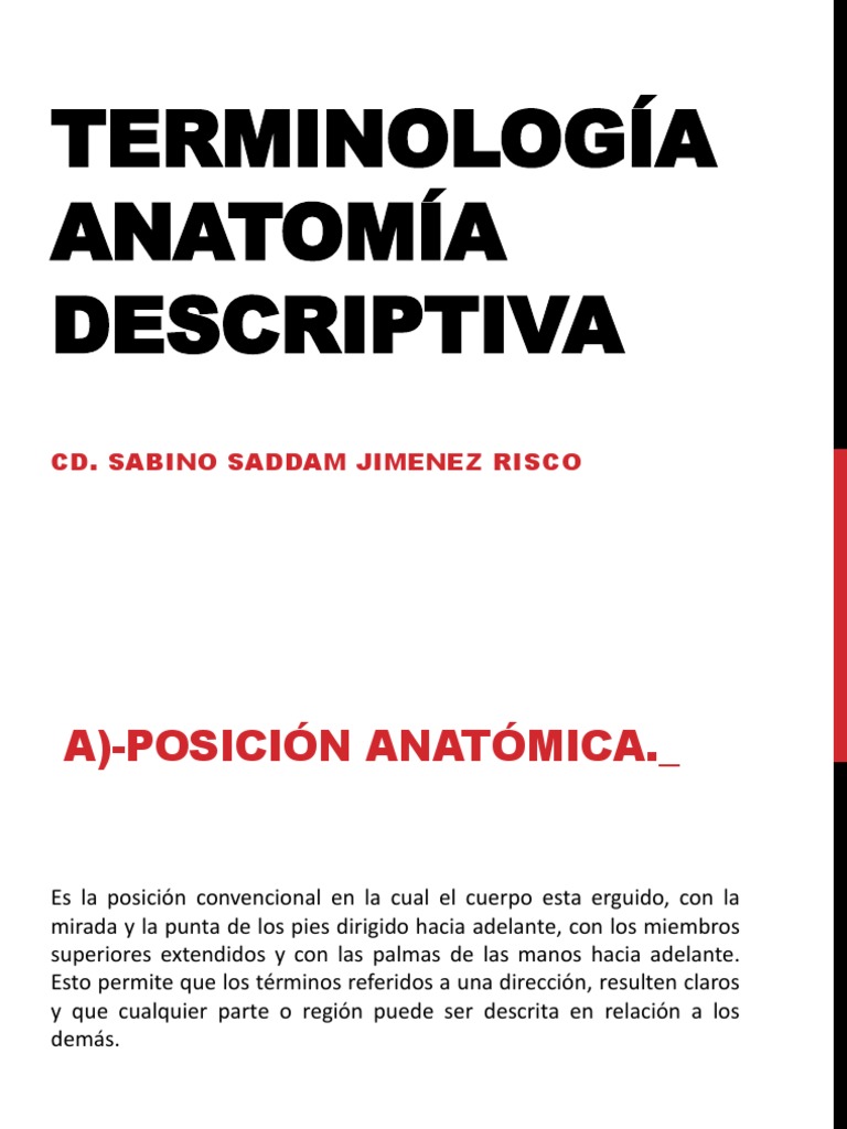 Terminologías En Anatomía Terminología Anatómica | PDF | Términos